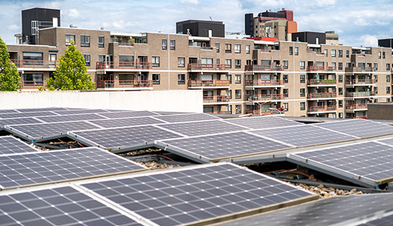 Over ons - Atriensis